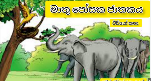 මාතුපෝෂක ජාතකය. Two versions.. what is correct? | ElaKiri