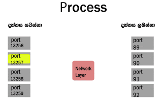 TCP හා UDP Protocols ගැන වැඩිදුරටත්.. | ElaKiri